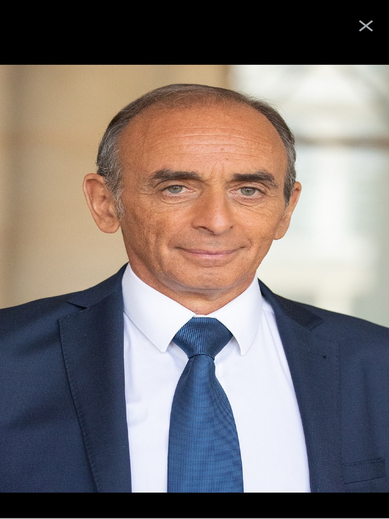Éric Zemmour - Wikipedia | PDF