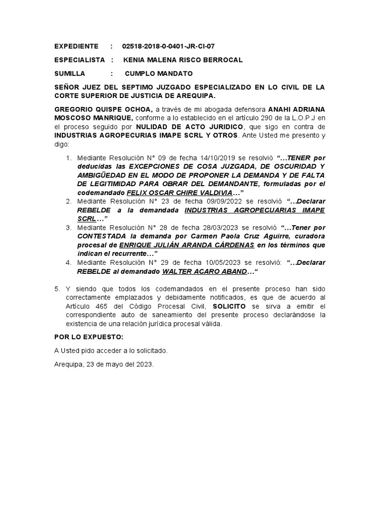 Solicito Auto de Saneamiento Buena Vista | PDF