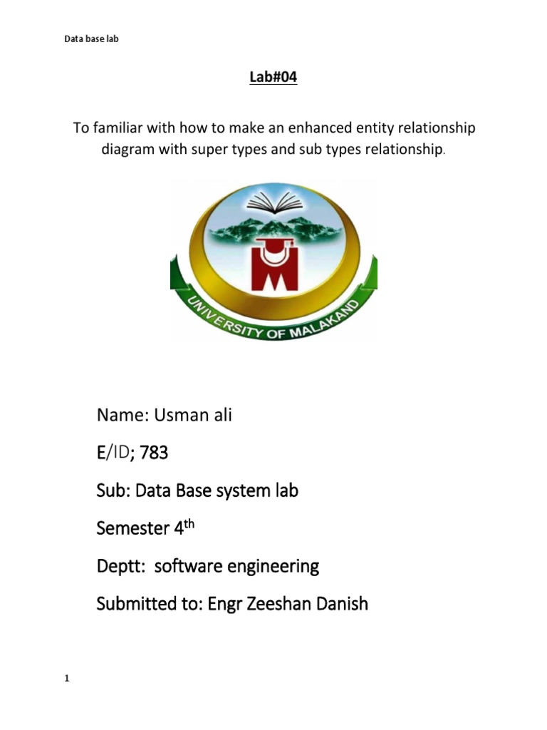 Database Lab#04 | PDF | Auction | Computing