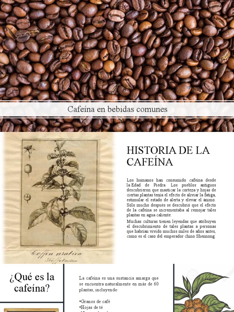 La cafeína | PDF | Cafeína | Nutrición