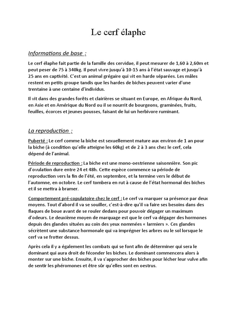 Comportement et reproduction du cerf élaphe | PDF | Mammifères