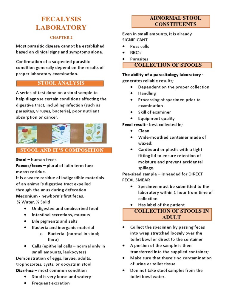 Fecalysis Laboratory | PDF | Human Feces | Feces