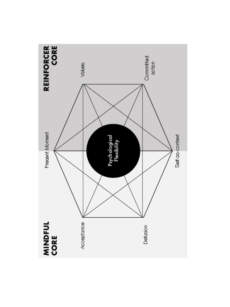 AIM Handout | PDF | Thought | Reinforcement