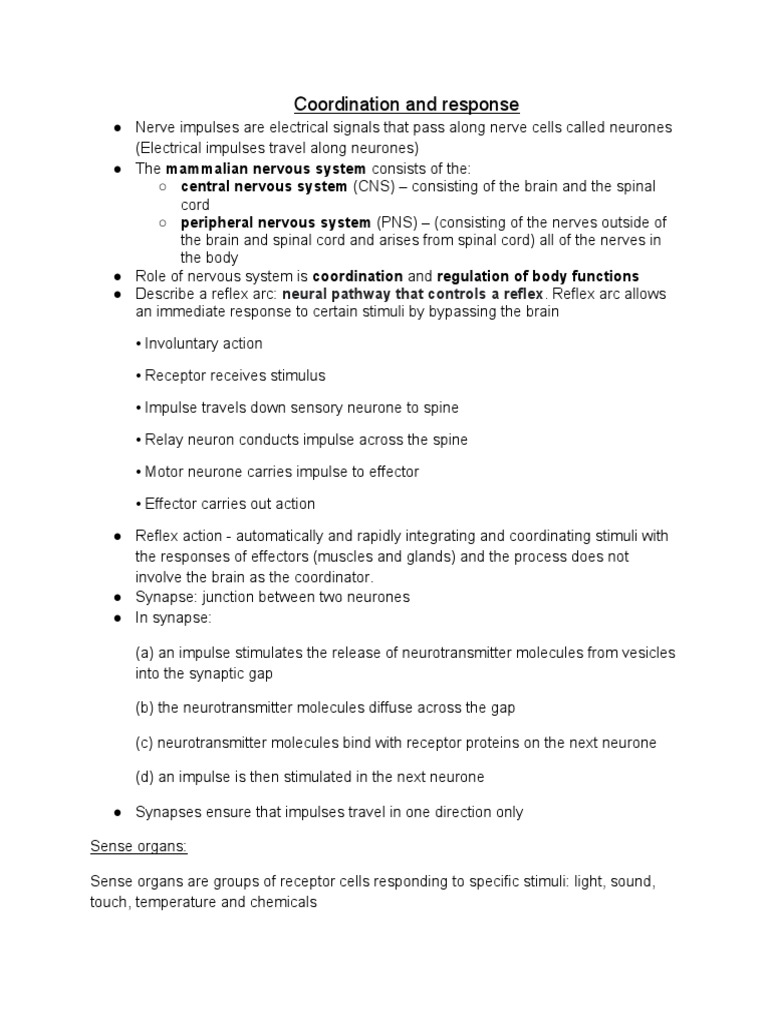 Coordination and Response | PDF | Neuron | Nervous System