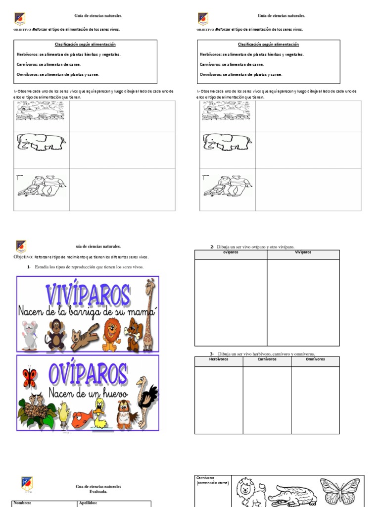 Guia de Seres Vivos | PDF | Plantas | Herbívoro