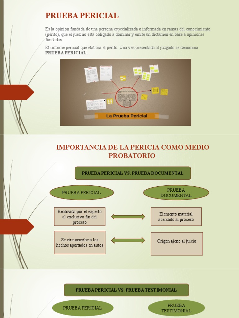 Prueba Pericial | PDF | Testigo experto | Justicia