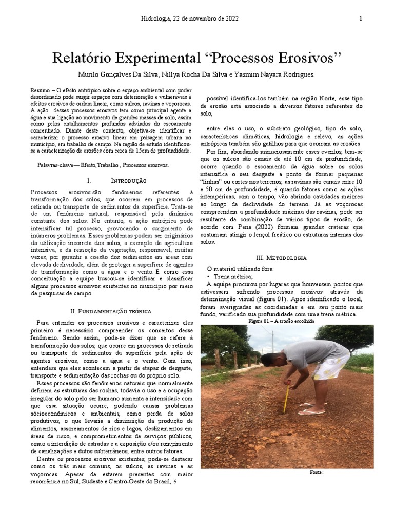 Relatorio Processo Ravina | PDF