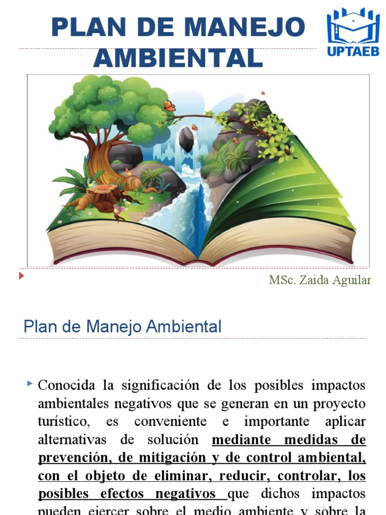 Plan de Manejo Ambiental | PDF | Entorno natural | Contaminación