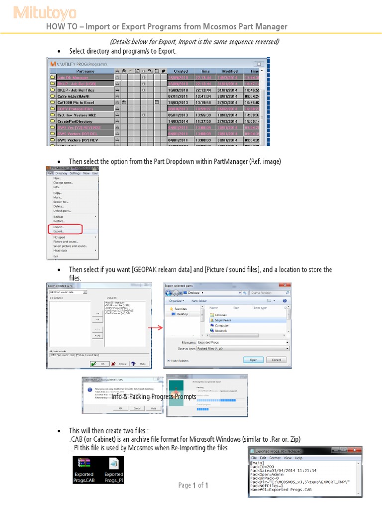 Import Export Programs Mcosmos | PDF