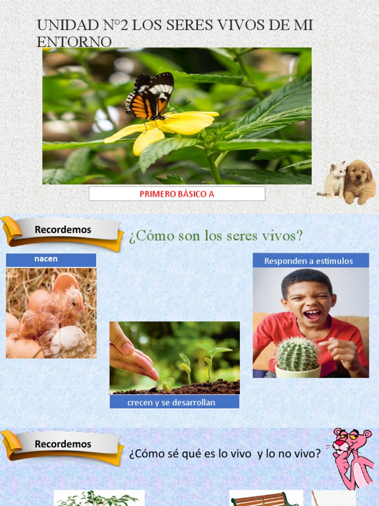 Seres Vivos en el Entorno Escolar | PDF | Relaciones personales ...