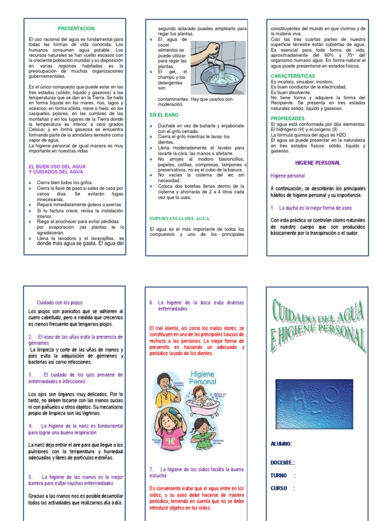 Triptico de La Higiene Personal | PDF | Agua | Higiene