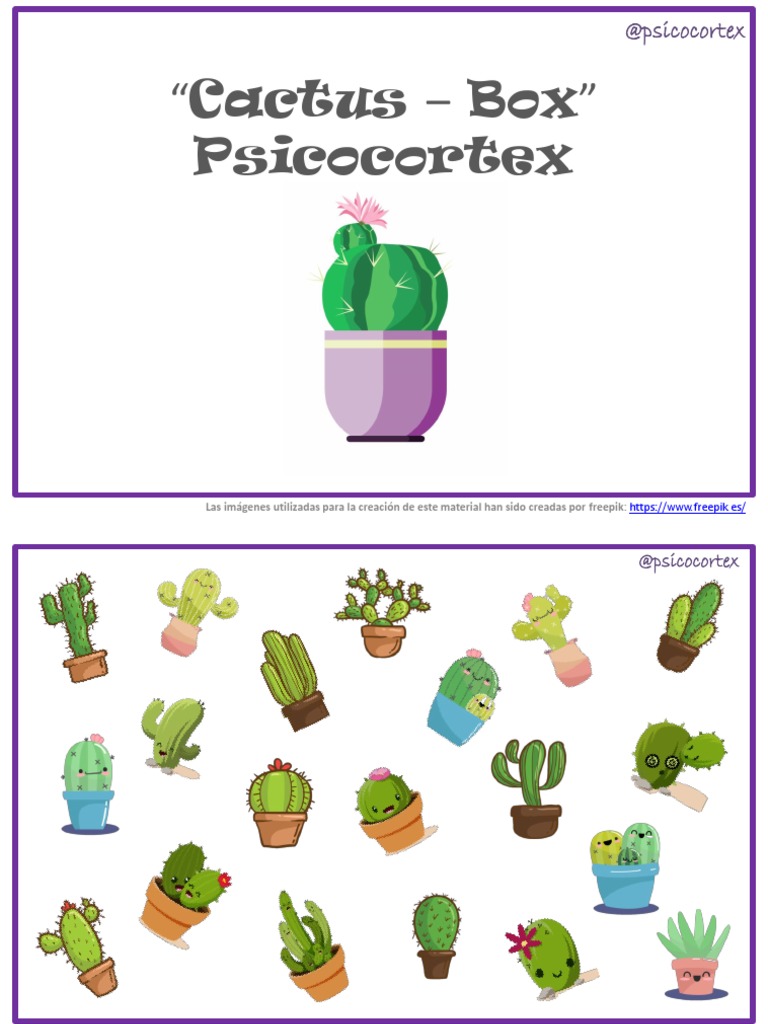 Cactus – Box: Creación Visual | PDF