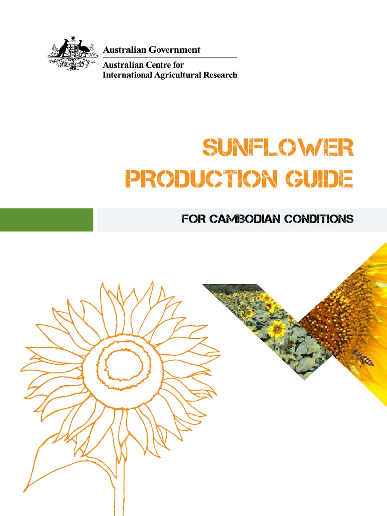Sunflower 171 LR | PDF | Crop Rotation | Sowing