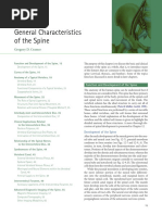 Spinal Coding Handout | PDF | Vertebral Column | Vertebra