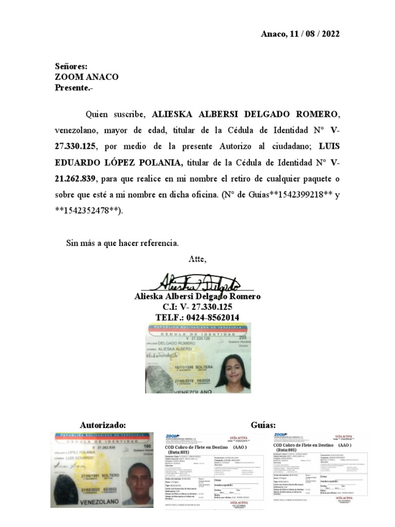 Carta Autorizacion Zoom | PDF