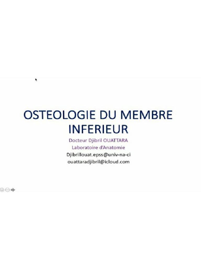Membres Inférieures Ox, Femur, Patella Et Tibia | PDF
