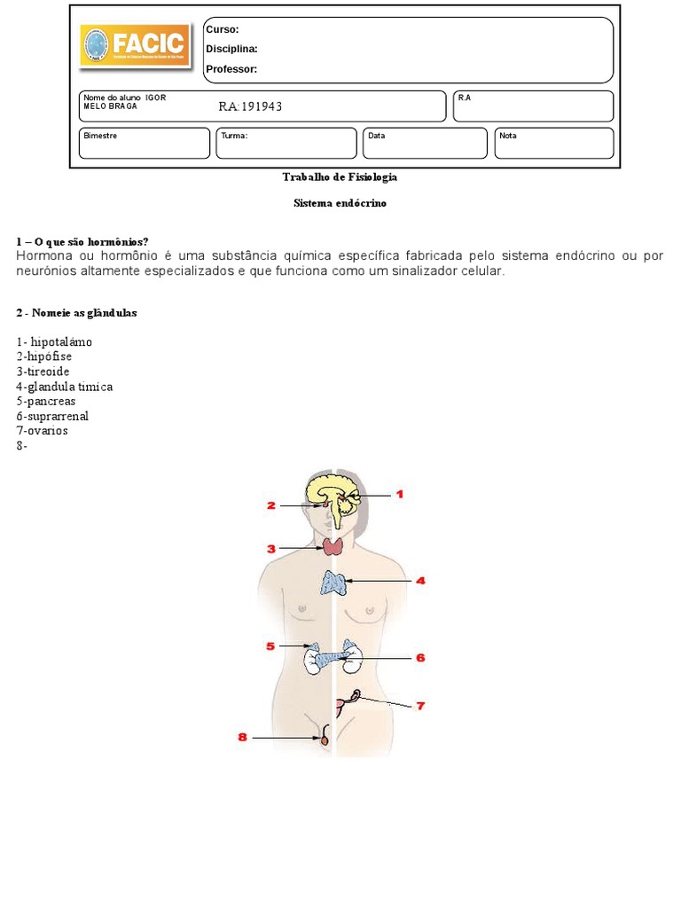 Atividade Sistema Endócrino | PDF Atividade Sistema Endócrino | PDF