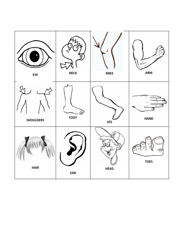 Bingo Body Parts Pdf Foot Hand