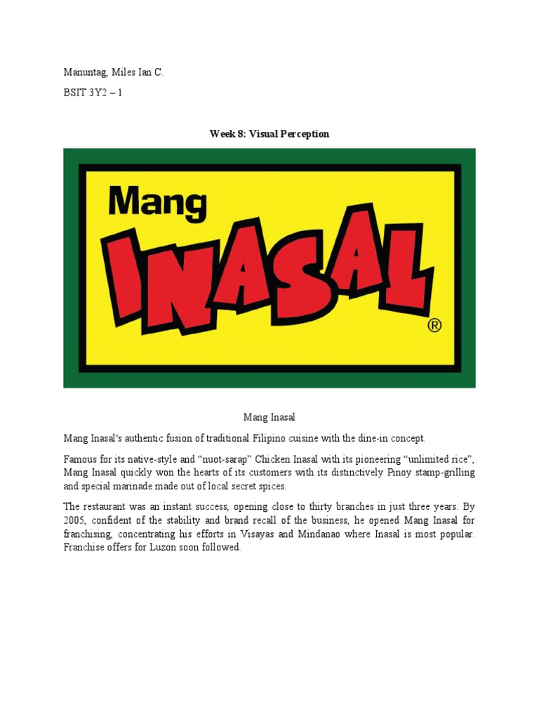 Visual Perception | PDF