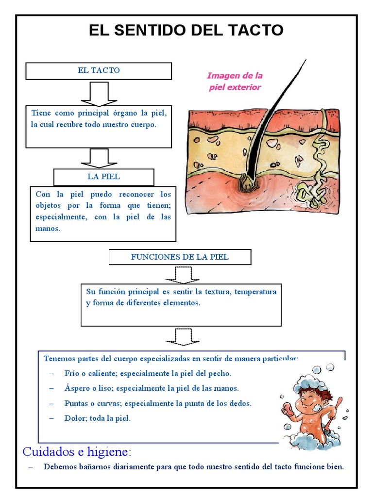 El Sentido del Tacto para Niños | PDF