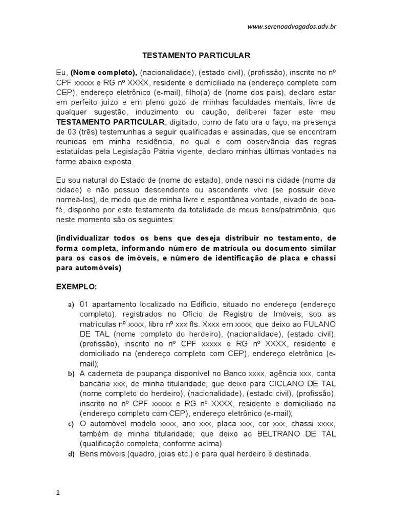Modelo de Testamento Particular | PDF | Testamento