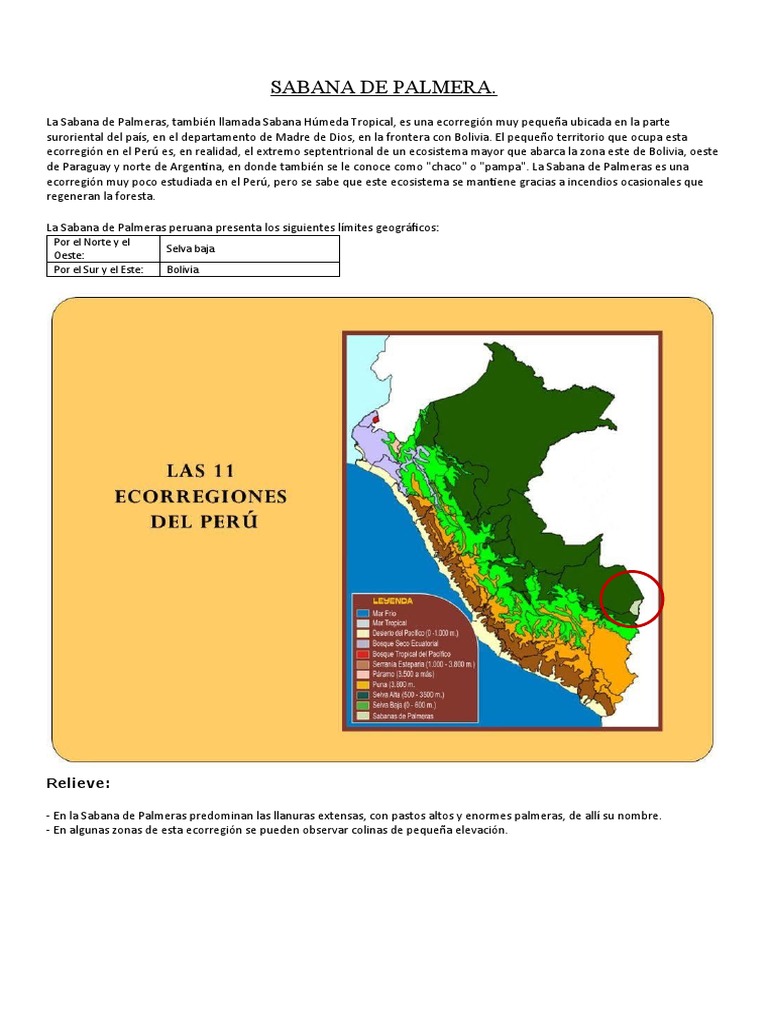Sabana de Palmeras en Perú: Ubicación y Clima | PDF | Deforestación ...