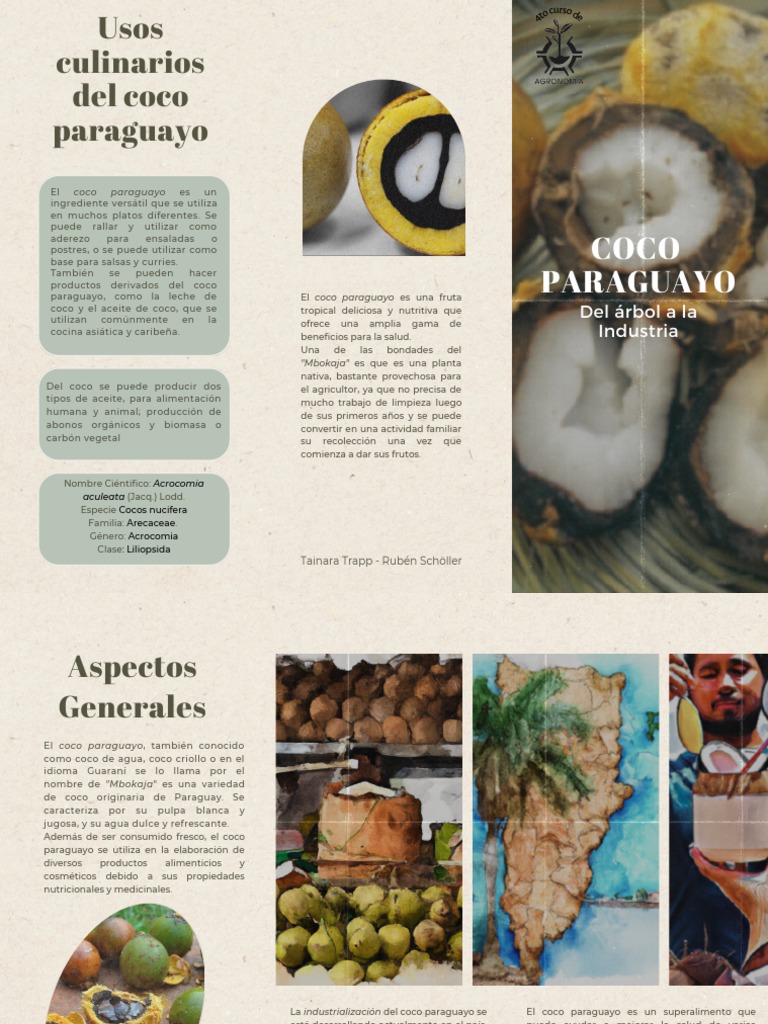 Tríptico COCO PARAGUAYO | PDF | Paraguay | Alimentos
