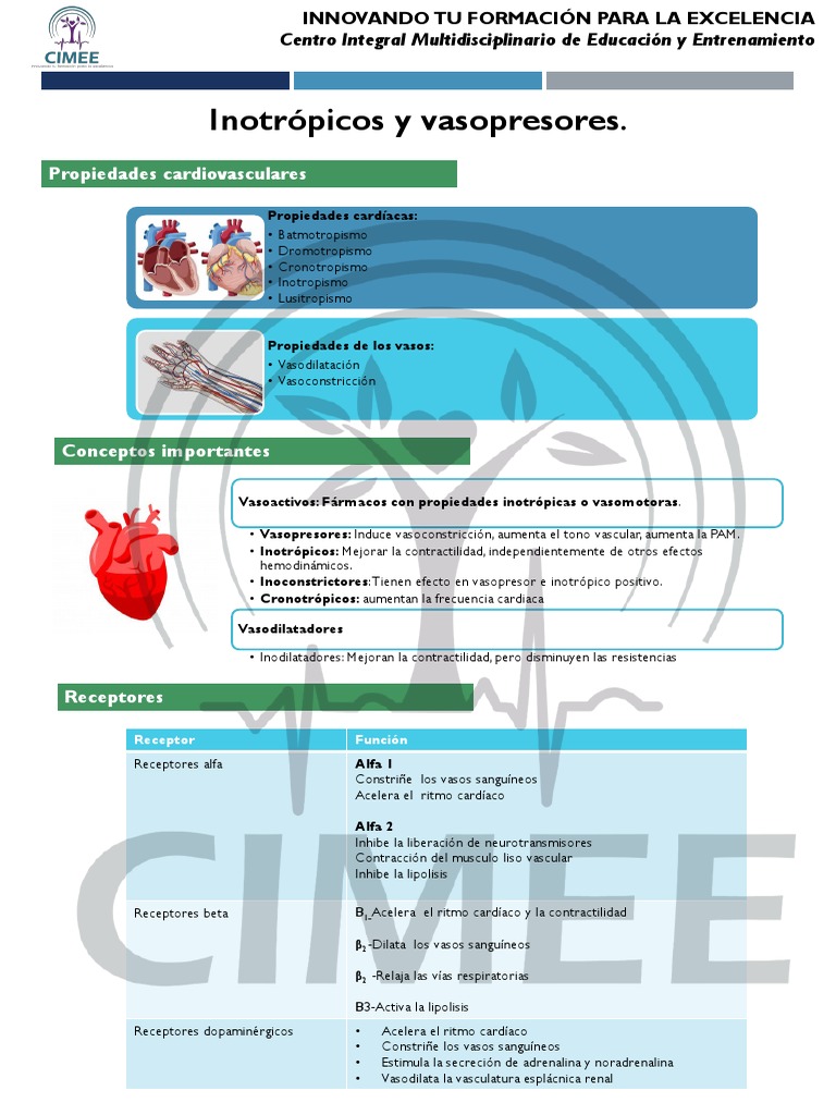 Vasopresores | PDF | Norepinefrina | Fisiología Cardiovascular