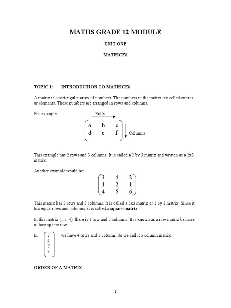 Maths Grade 12 Module | PDF | Matrix (Mathematics) | Determinant