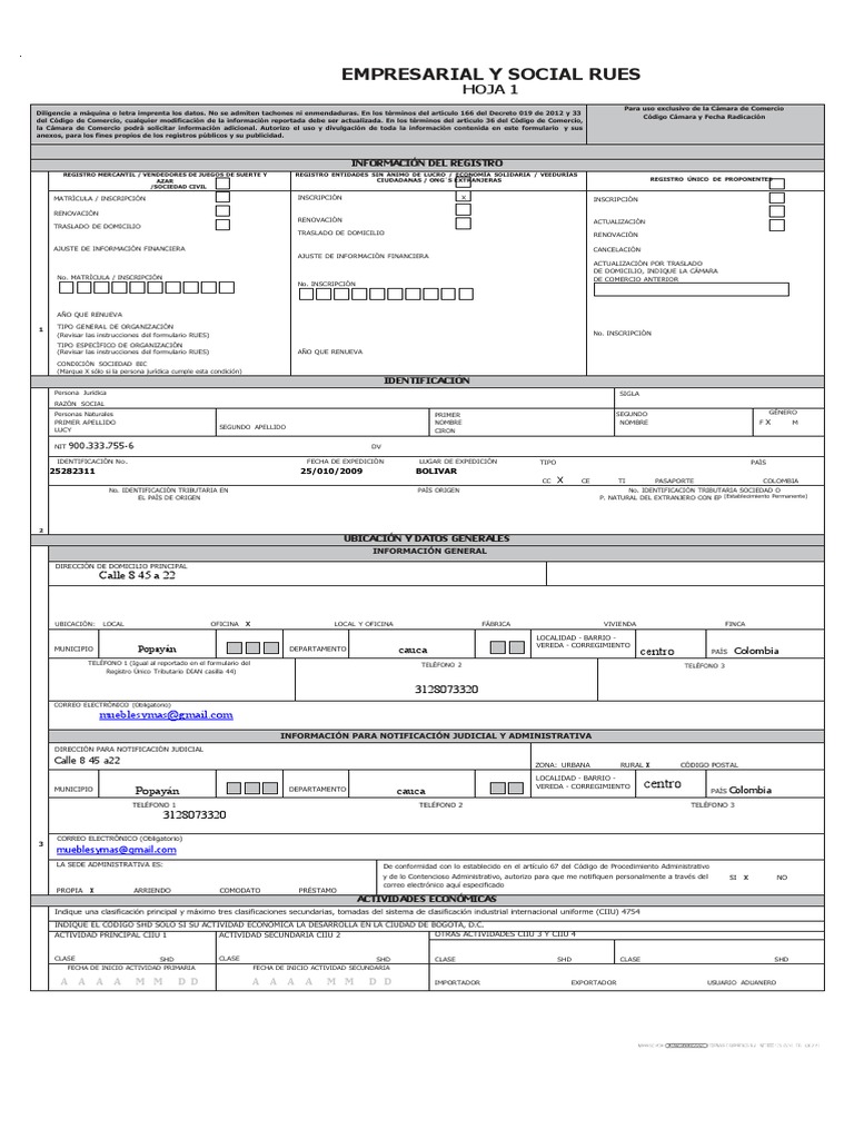 Registro Empresarial y Social RUES | PDF | Estado de resultados | Business