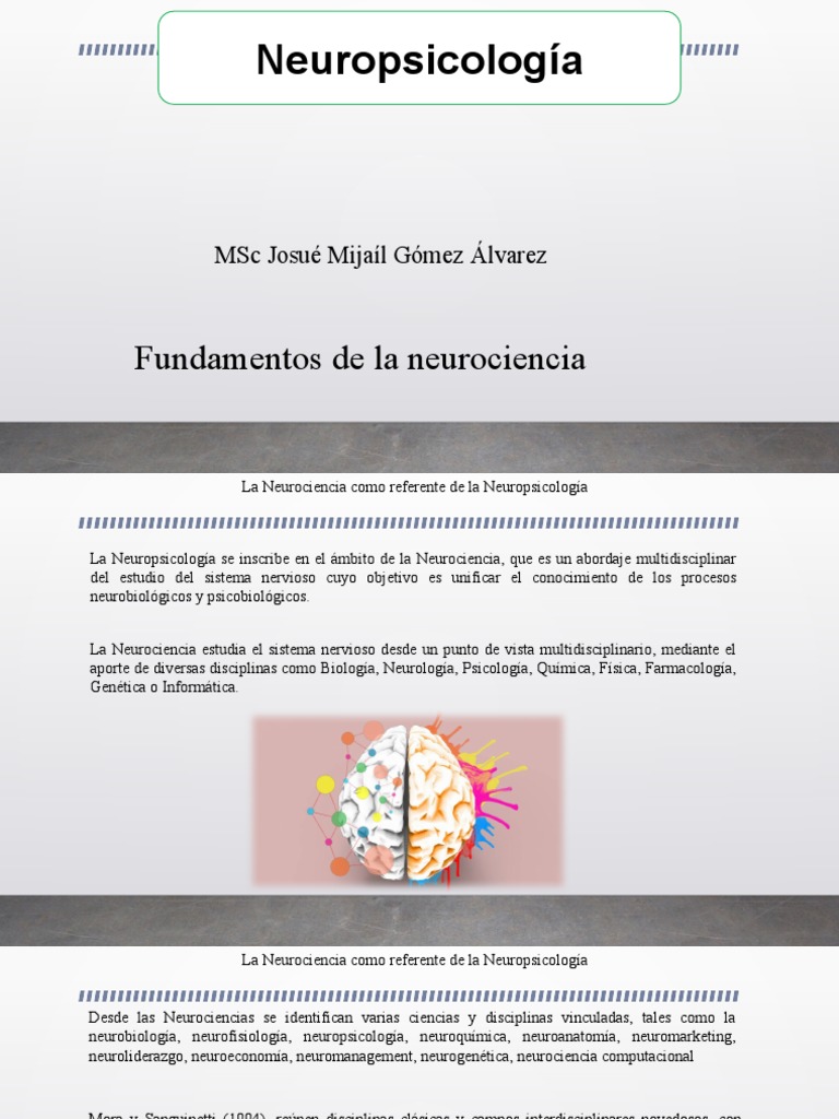 Neurociencias | PDF | Cerebro | Neurociencia