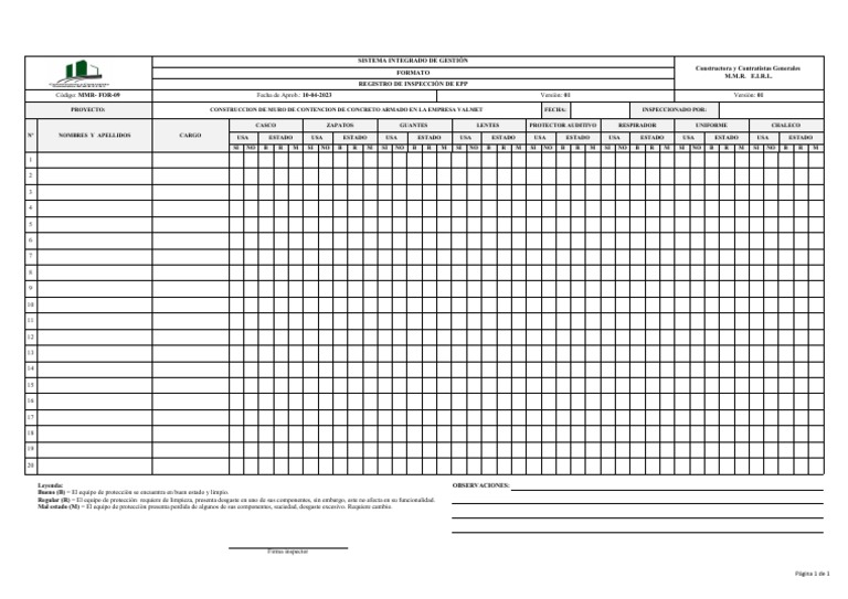 Formato de Inspeccion de EPP | PDF