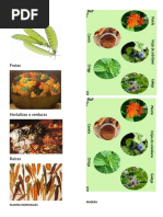 5 Tipos De Higiene Personal Pdf