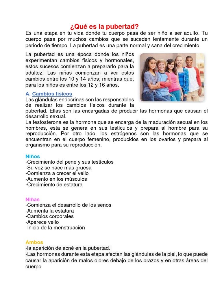 Qué Es La Pubertad | PDF | Pubertad | Sistema endocrino