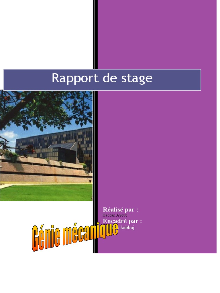 Ayoub Rapport de Stage Defem | PDF | Chimie | Sciences physiques