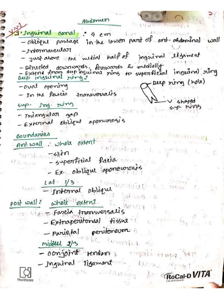 Anatomy Handnote | PDF