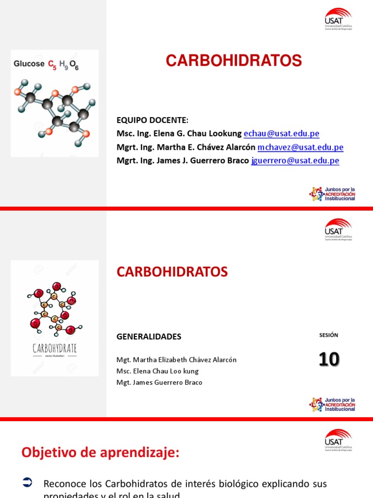 Sesion #06 Carbohidratos | PDF | Carbohidratos | Polisacárido