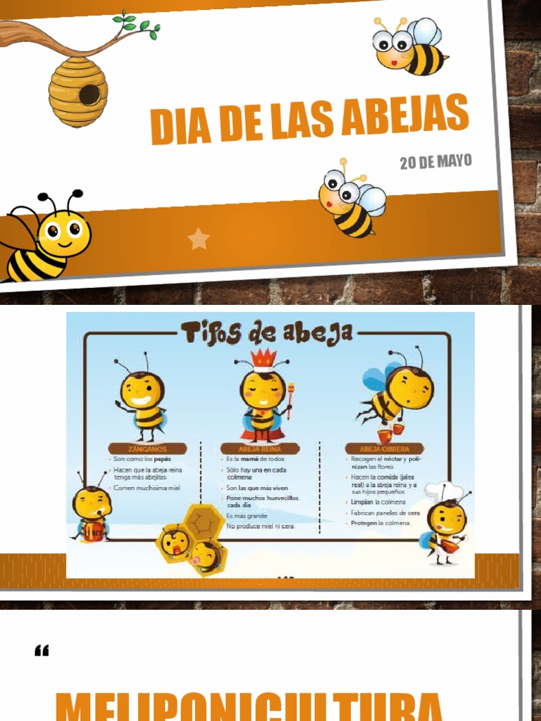 Dia de Las Abejas | PDF | Polinización | Agricultura