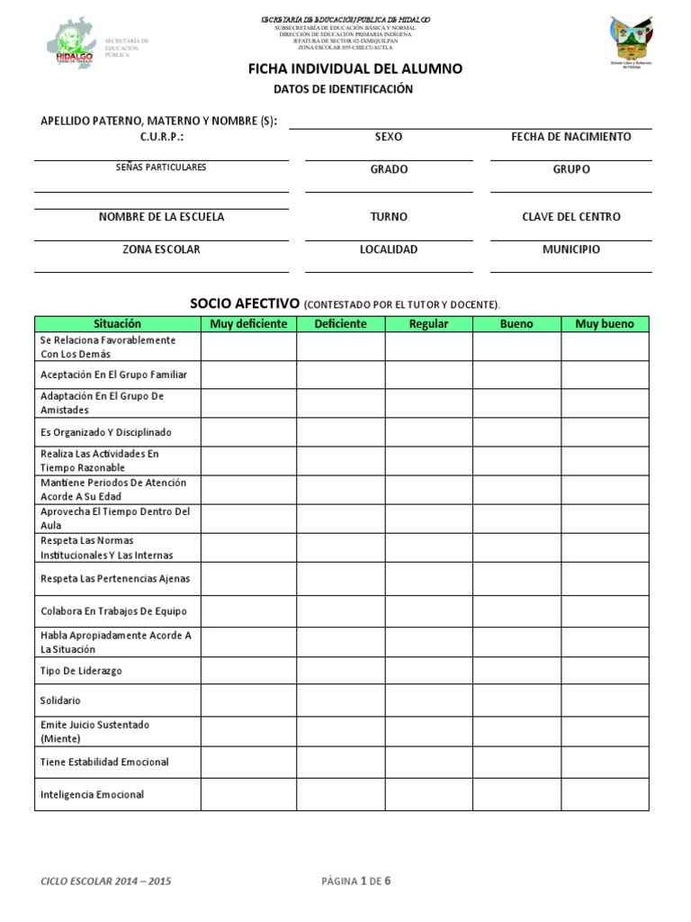 Ficha Individual Del Alumno | PDF | Educación primaria | Cognición
