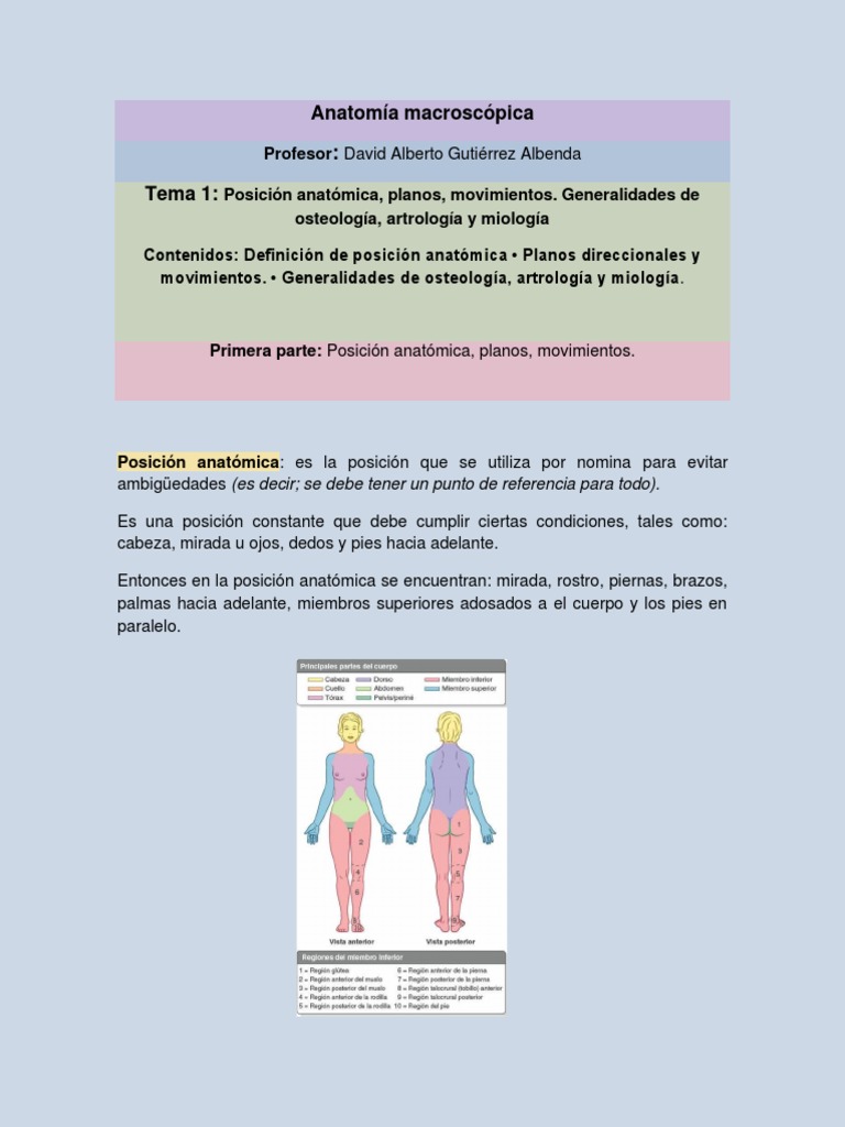 Clase 1 Anatomia Macro | PDF | Articulación | Músculo