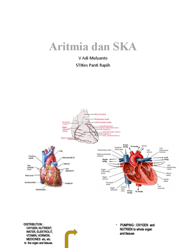 Aritmia Dan SKA. STIKes S1 P Rapih | PDF | Heart Failure | Heart