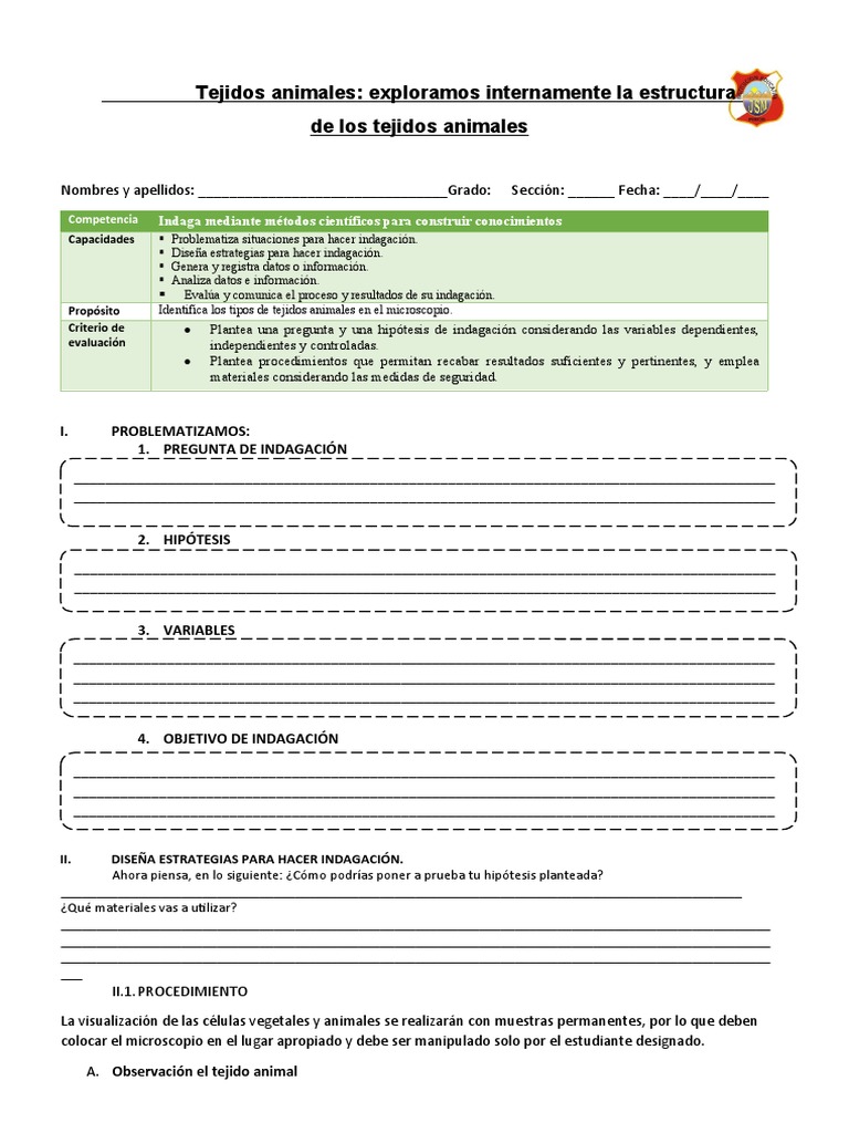 Practica 04 Observaciones de Tejidos Animal | PDF