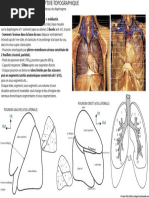 Anatomies Des Poummons Et Plevre | PDF | Poumon | Anatomie