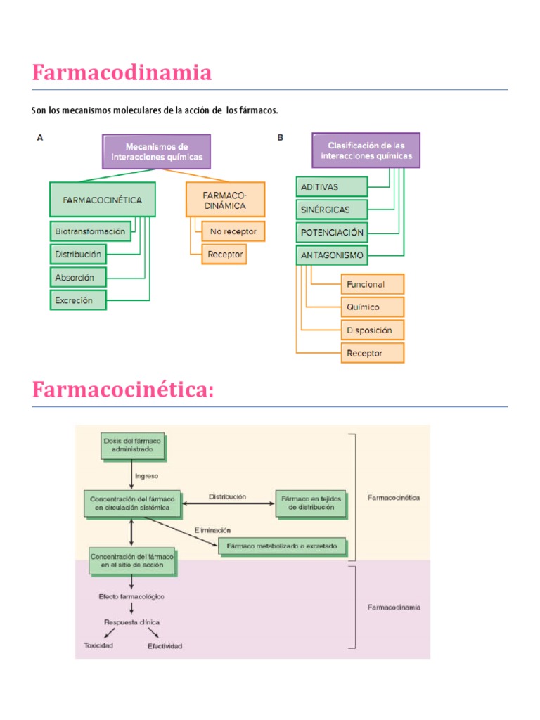 Farmacocinética Farmaco I Cat 2 UBA | PDF