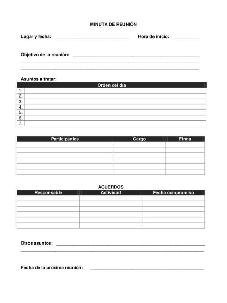 Minuta de Trabajo | PDF