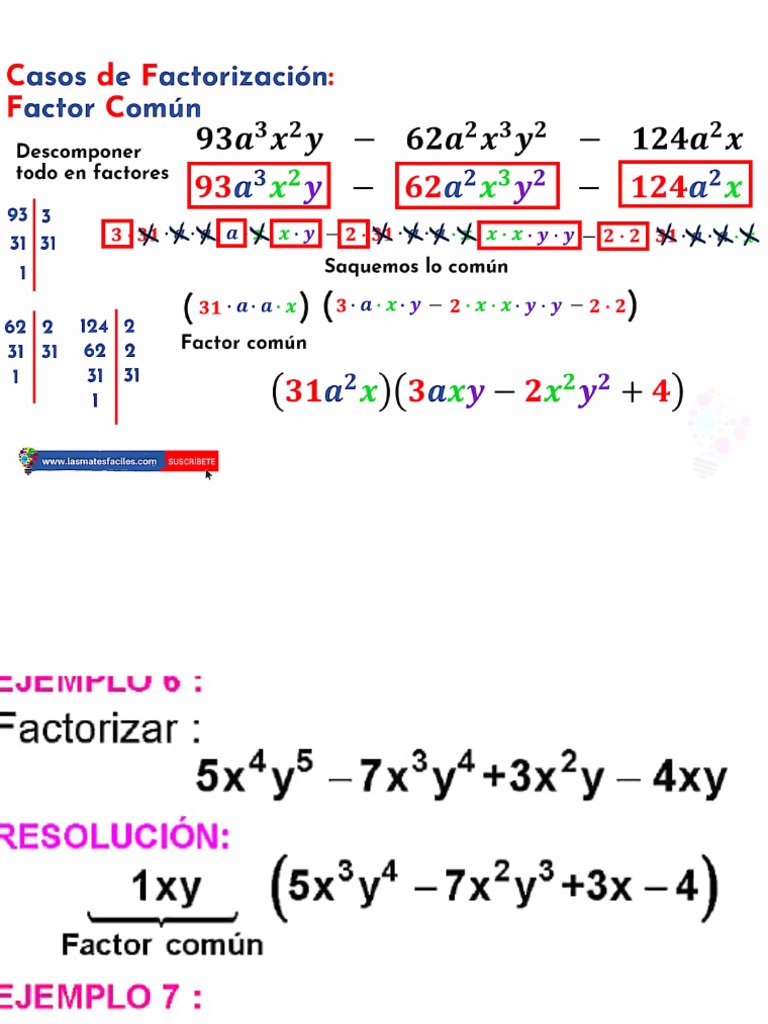 Guía Factorización | PDF