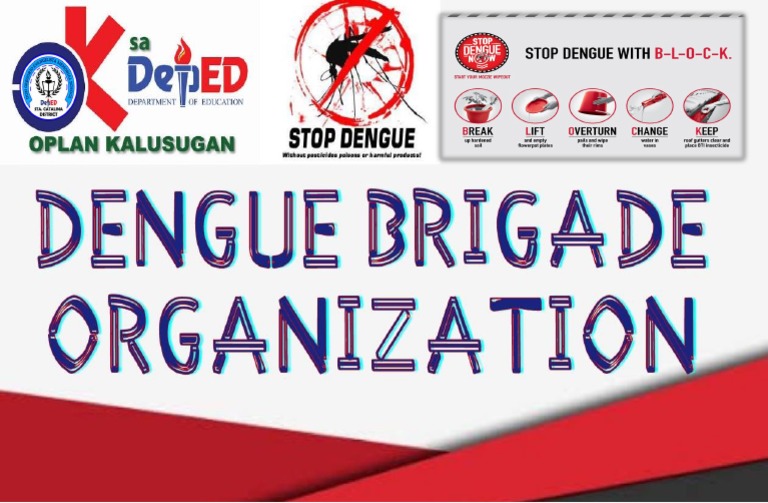 Dengue Brigade Org. Poster | PDF