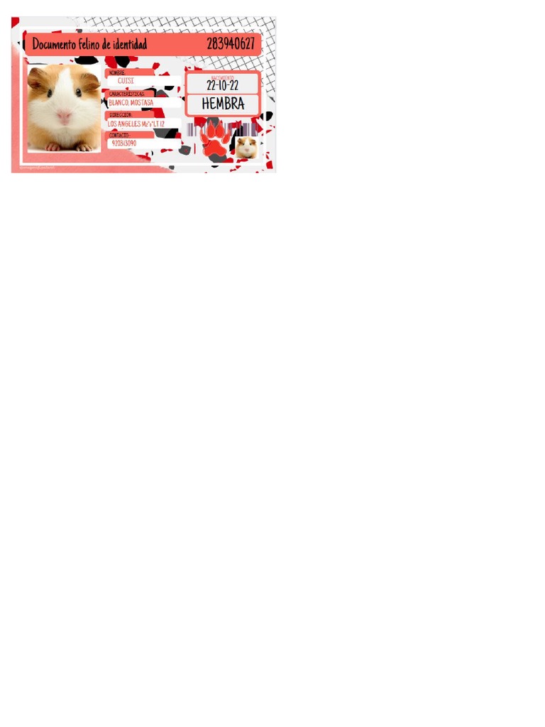 Ocopa Pdf