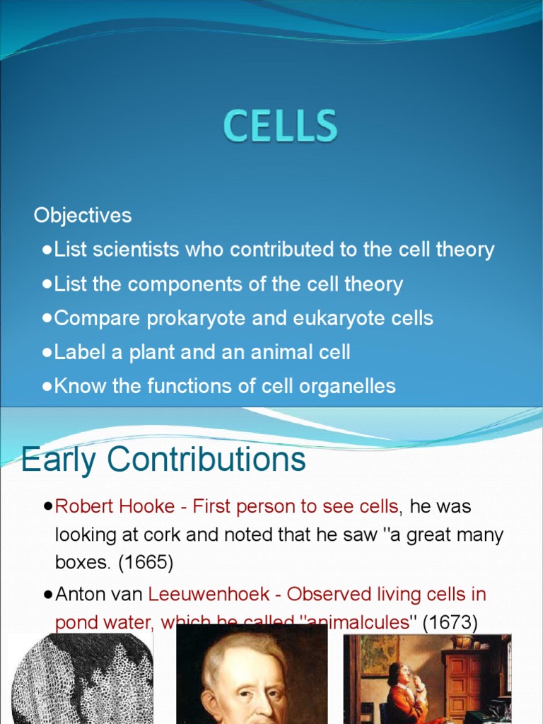 Cells and The Cell Theory | PDF | Cell (Biology) | Endoplasmic Reticulum