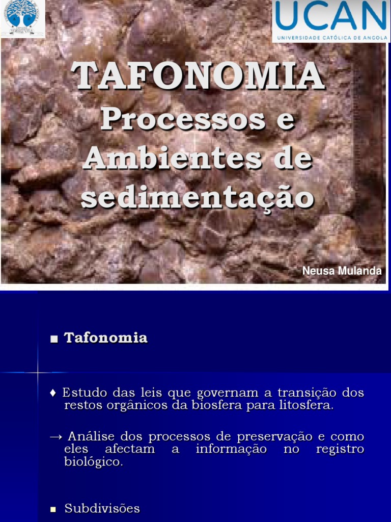 Aula 4 - TAFONOMIA | PDF | Fóssil | Ciências Físicas